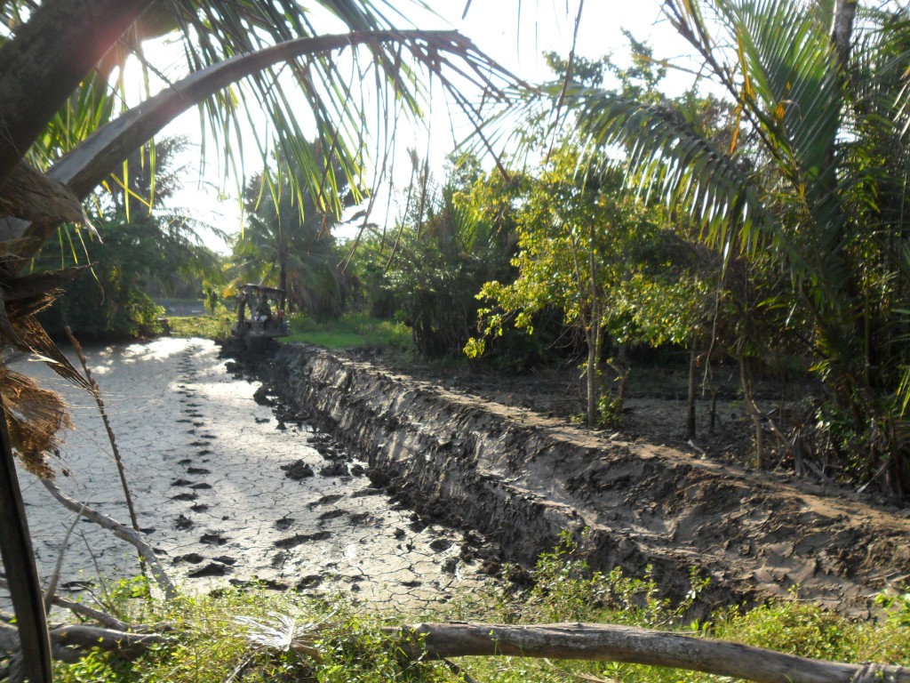 Diking up the outside of the CFF site - CWR Blog | CWR Blog